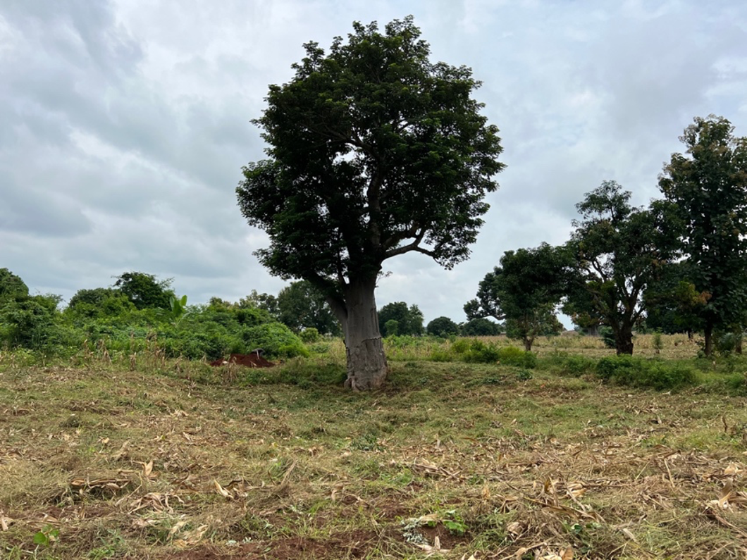 Saclo Village Archaeology – J. Cameron Monroe